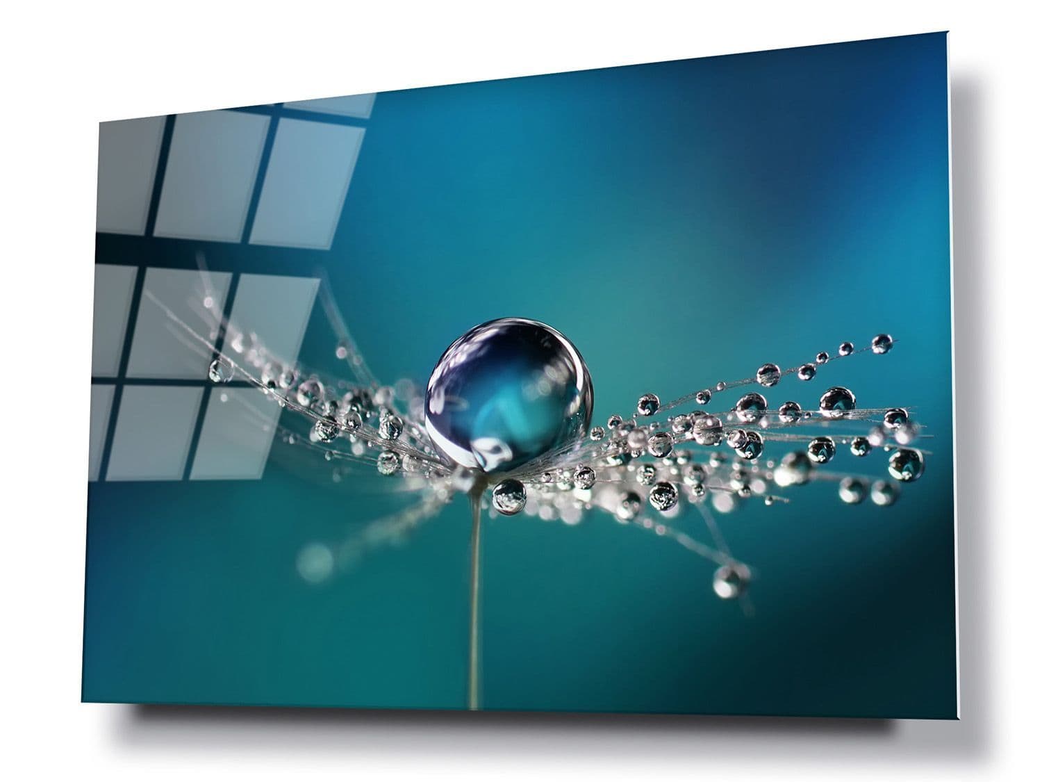 Due Drops on Dandelion Macro | 1st Glass Art