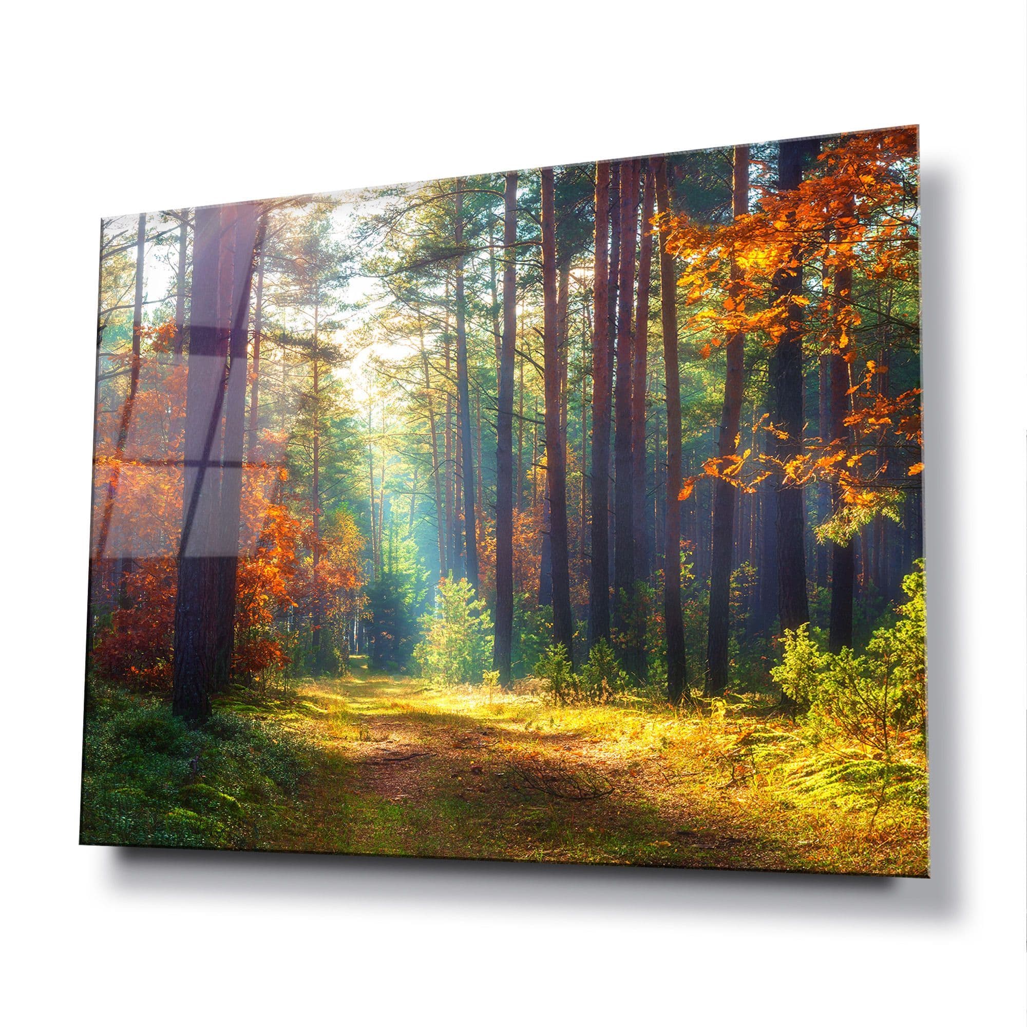 Size in cm (w x h) Choose an option 60cm x 75cm 70cm x 75cm 90cm x 75cm