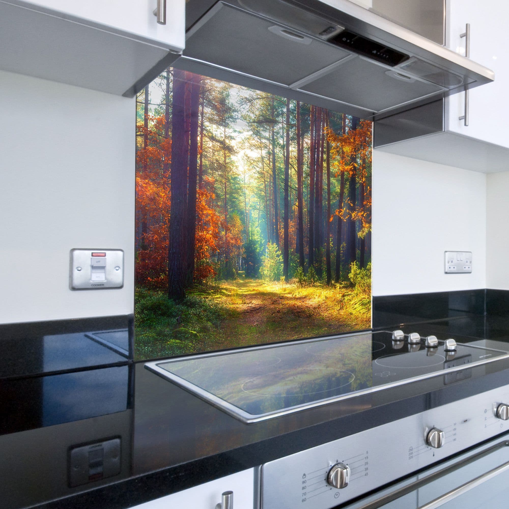 Forrest in sunshine kitchen glass splashback – Heat resistant 6mm ...