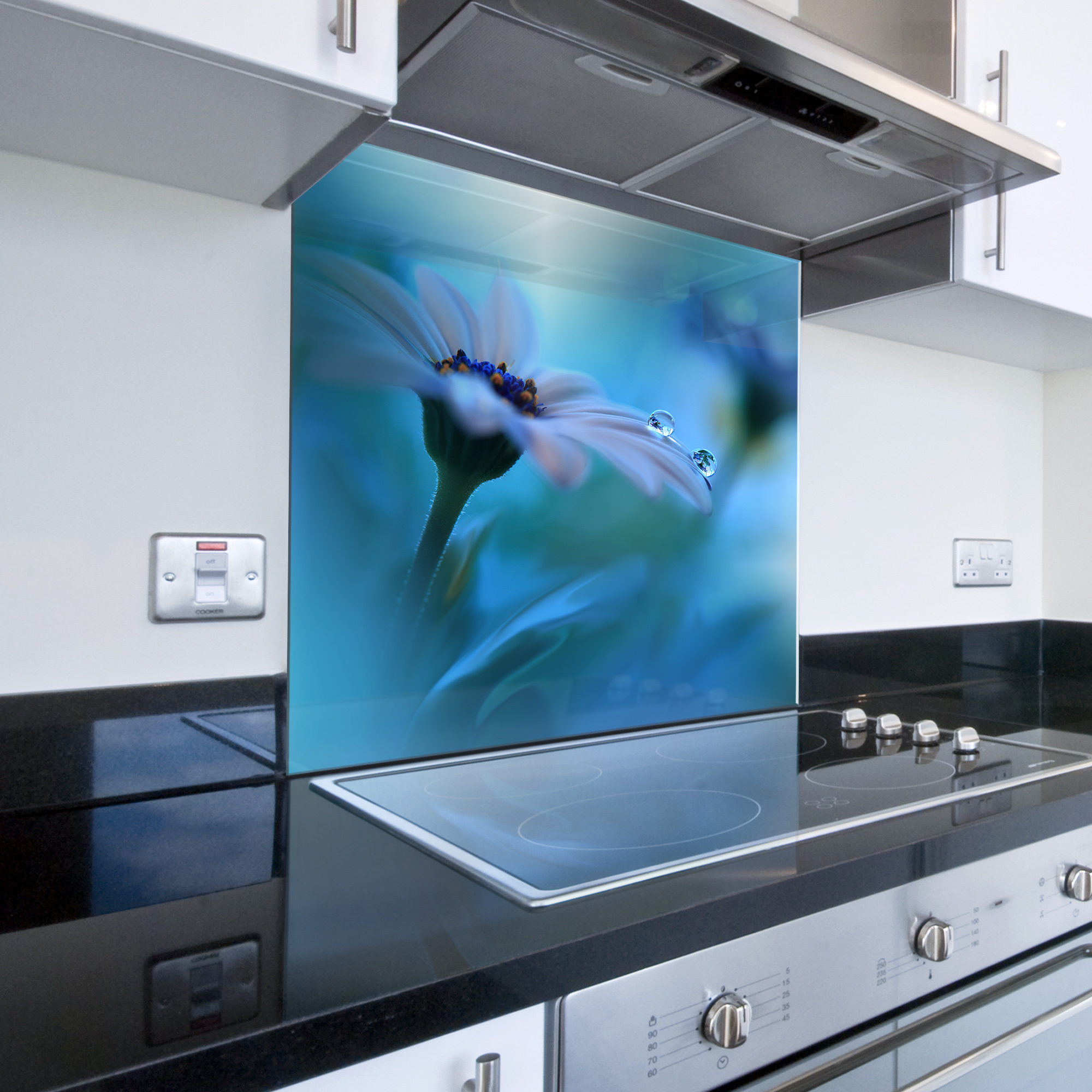 "Blue Daisy Flower" Glass Kitchen Splashback | 1st Glass Art
