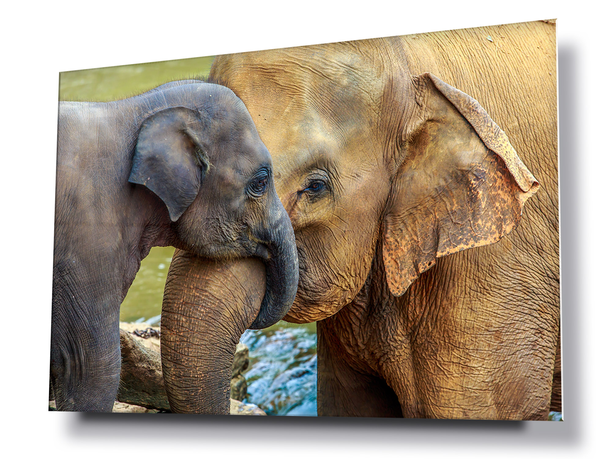 Hugging Elephants | 1st Glass Art