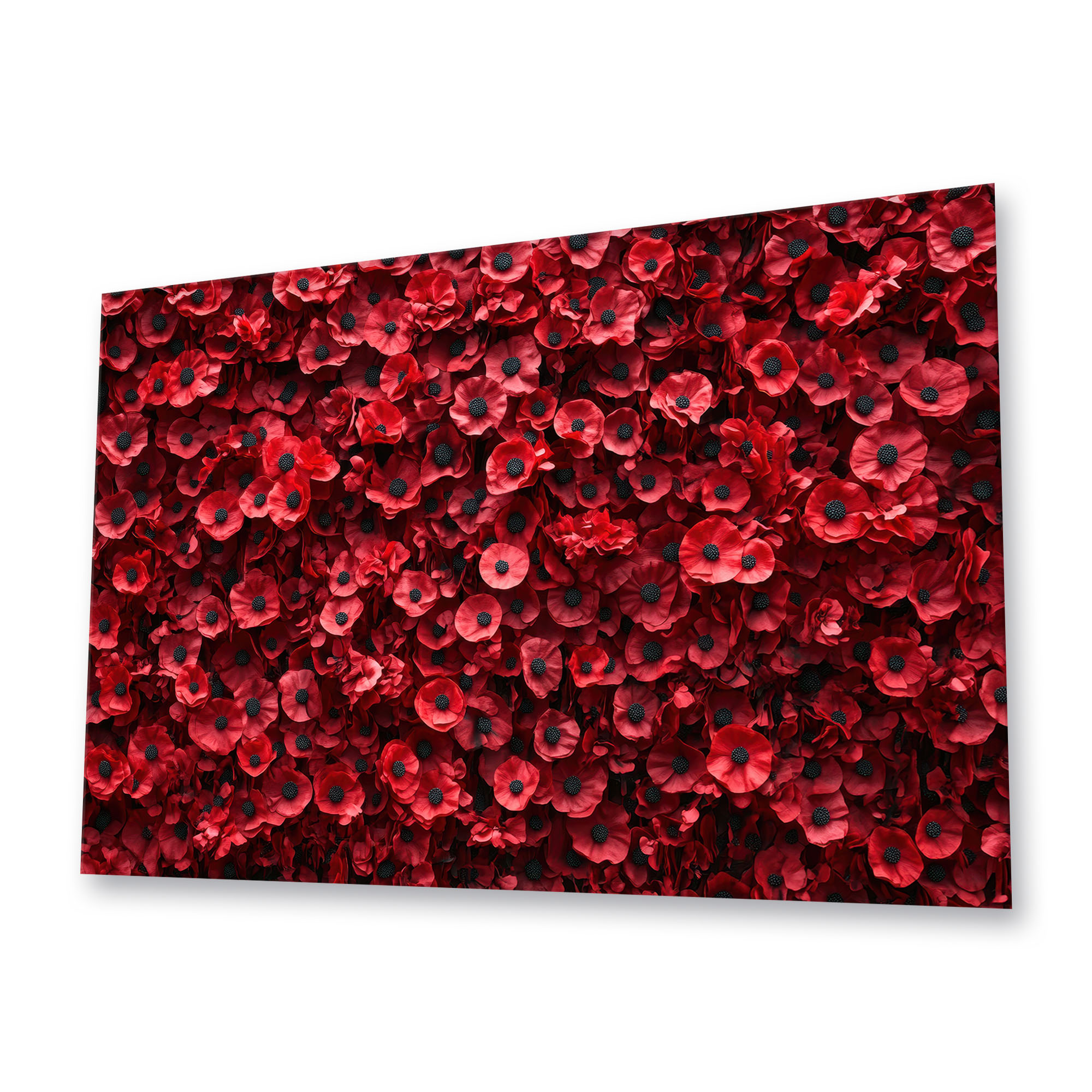 "Poppy Blanket" Glass Wall Art | 1st Glass Art